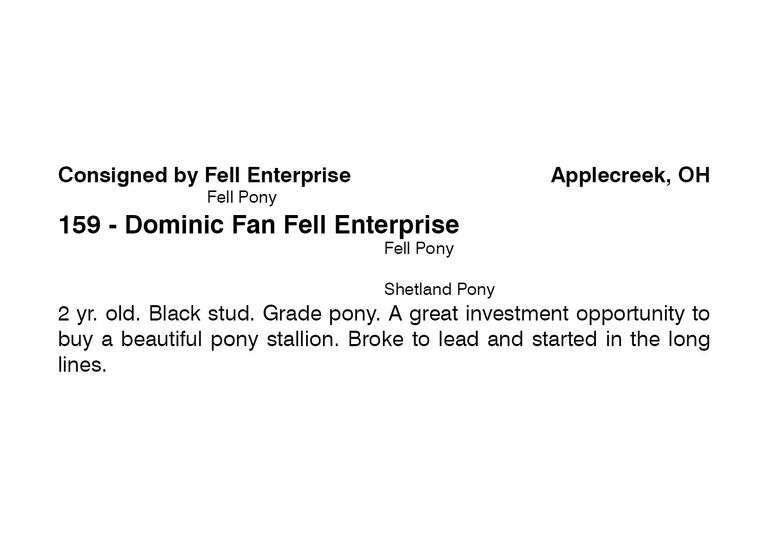 Dominic Fan Fell Enterprise - Mt Hope Auction