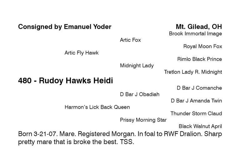 Rudoy Hawks Heidi - Mt Hope Auction
