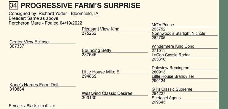 PROGRESSIVE FARM'S SURPRISE - Mt Hope Auction