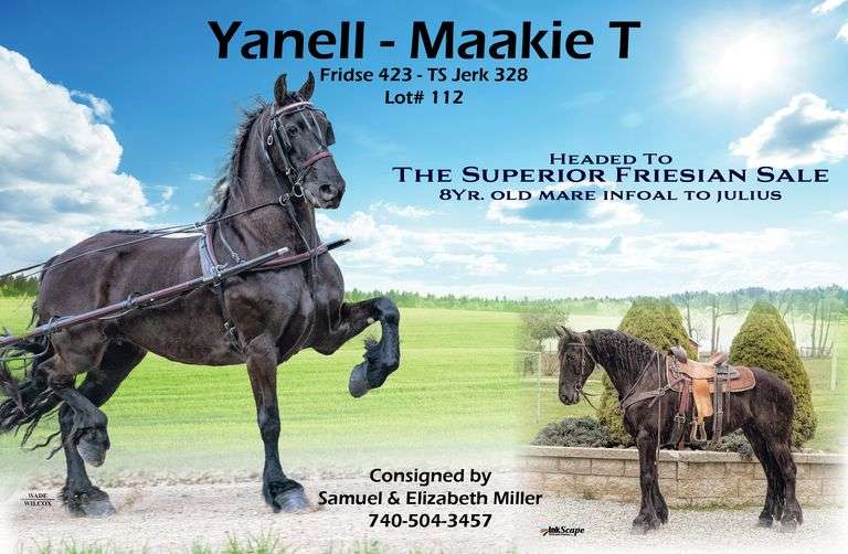 Yanelle Maakie T - 840004201503253 - Mt Hope Auction