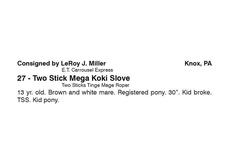 Two Stick Mega Koki Slove - Mt Hope Auction
