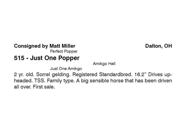 Just One Popper - Mt Hope Auction
