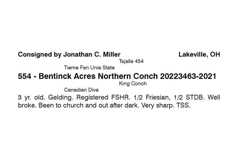 Bentinck Acres Northern Conch 20223463-2021 - Mt Hope Auction