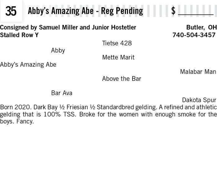 Abby’s Amazing Abe - Reg Pending - Mt Hope Auction