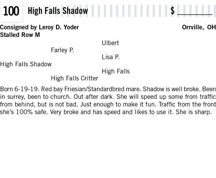 High Falls Shadow - Mt Hope Auction