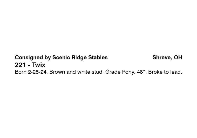 Twix - Mt Hope Auction