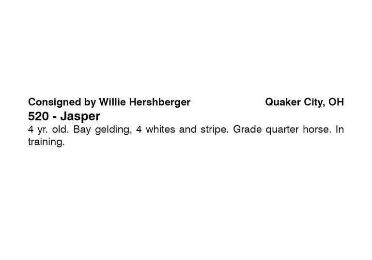 Jasper - Mt Hope Auction