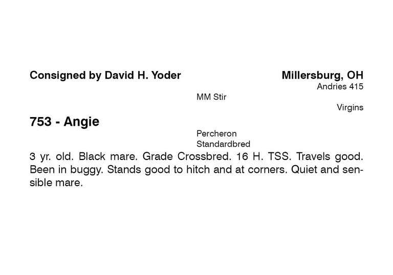 Angie - Mt Hope Auction