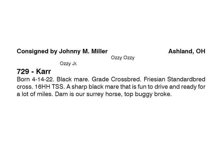 Karr - Mt Hope Auction