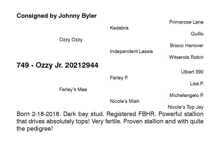 Ozzy Jr. 20212944 - Mt Hope Auction