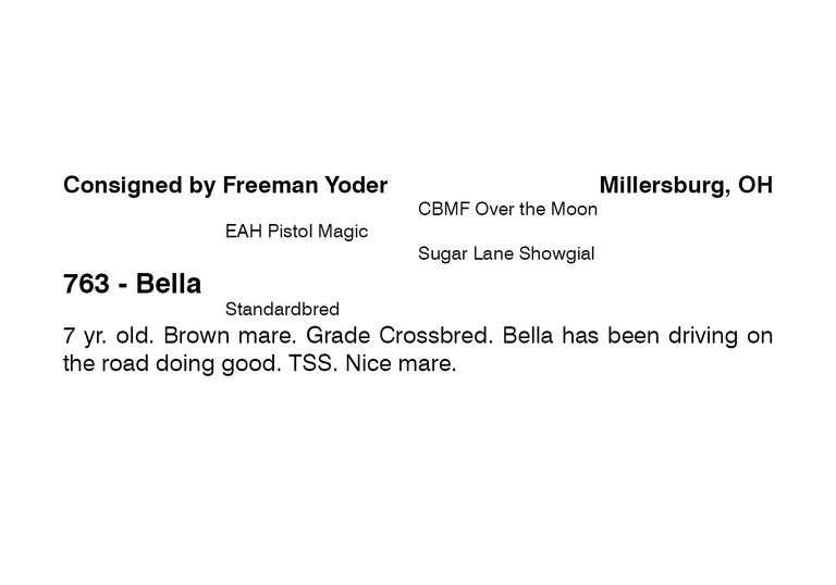 Bella - Mt Hope Auction