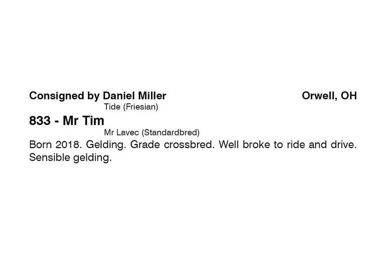 Mr Tim - Mt Hope Auction