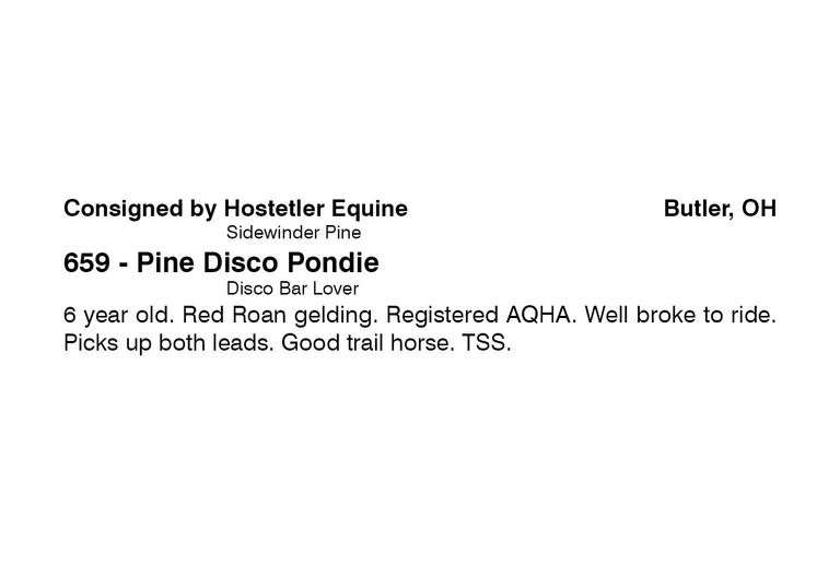 Pine Disco Pondie - Mt Hope Auction