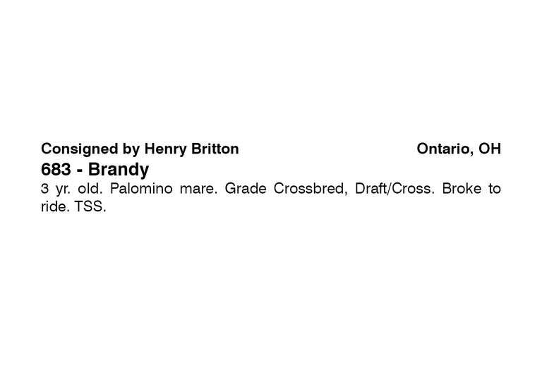 Brandy - Mt Hope Auction