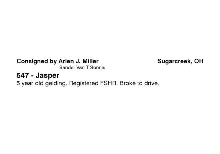 Jasper - Mt Hope Auction