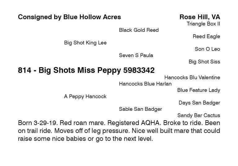 Big Shots Miss Peppy 5983342 - Mt Hope Auction