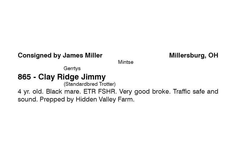Clay Ridge Jimmy - Mt Hope Auction