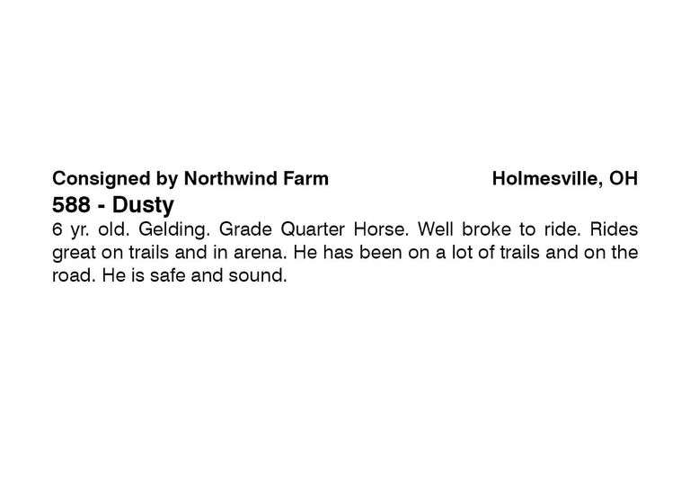 Dusty - Mt Hope Auction