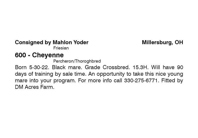 Cheyenne - Mt Hope Auction