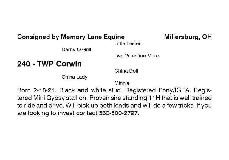TWP Corwin - Mt Hope Auction