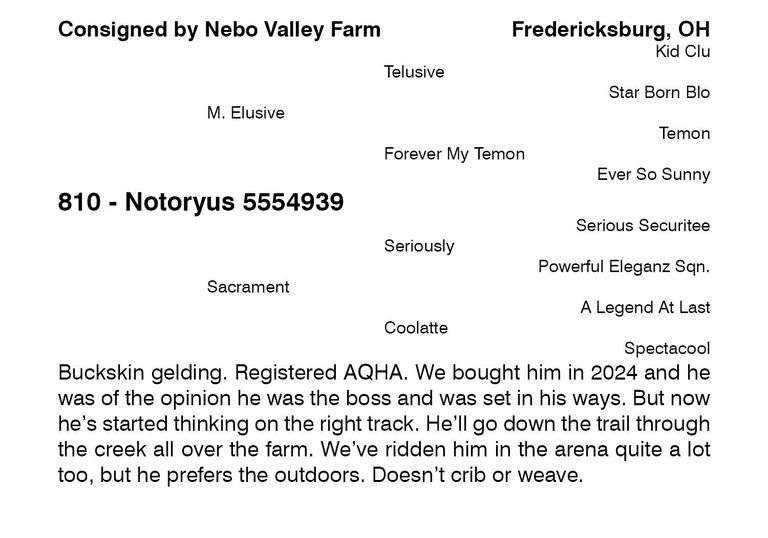 Notoryus 5554939 - Mt Hope Auction