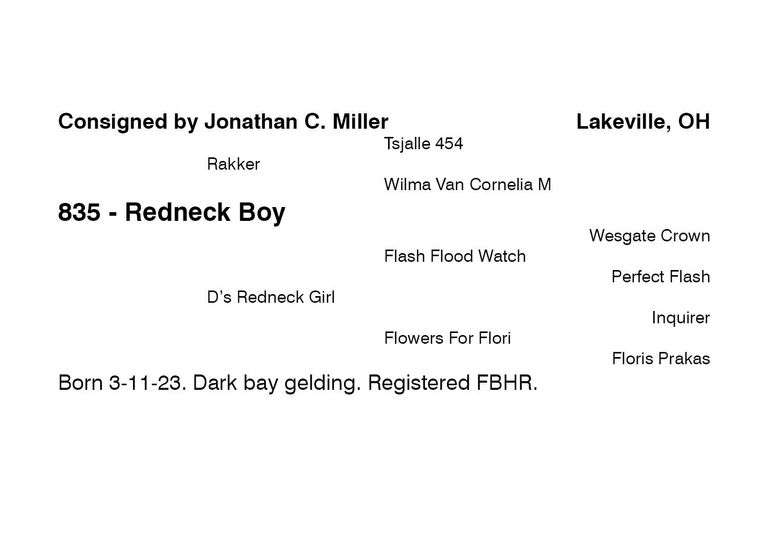 Redneck Boy - Mt Hope Auction