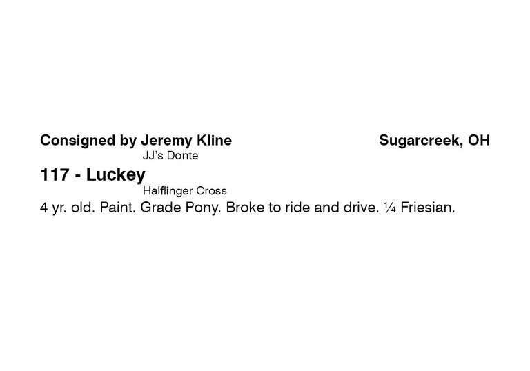 Luckey - Mt Hope Auction