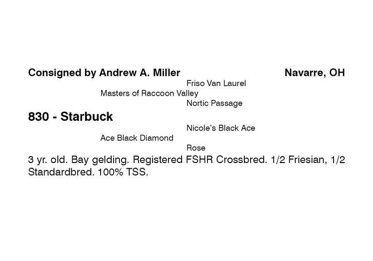 Starbuck - Mt Hope Auction