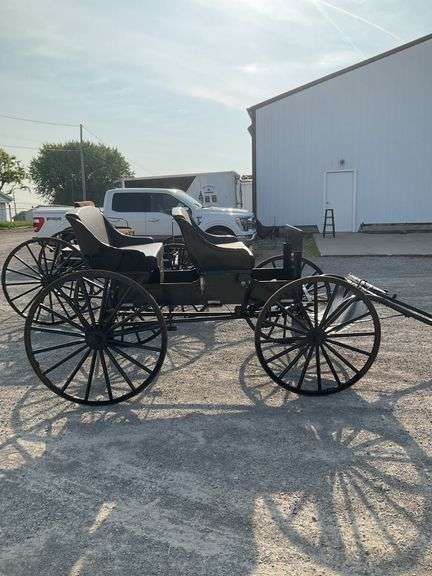 2 seater open Buggy - Mt Hope Auction