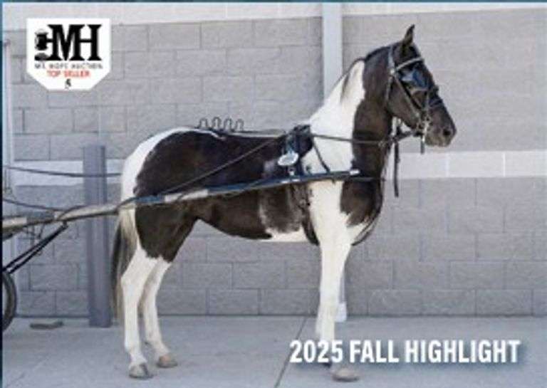 Current / Upcoming Auctions - Mt Hope Auction