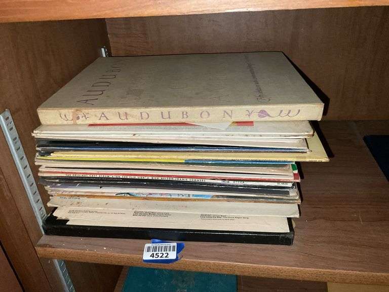 Vintage vinyl LP records and Audubon Birds of America book, Jamie ...