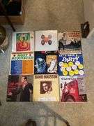 Vintage vinyl LP records and Audubon Birds of America book, Jamie ...