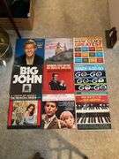 Vintage vinyl LP records and Audubon Birds of America book, Jamie ...