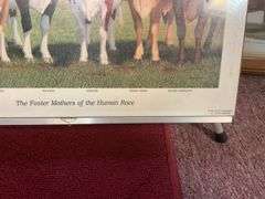 Cow prints, and 2017 Legends All-American Premier National Junior Show ...