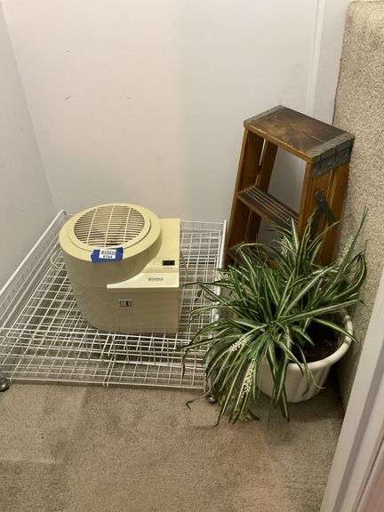 step-ladder, potted plant, humidifier, and wire rack - Hurley Real ...