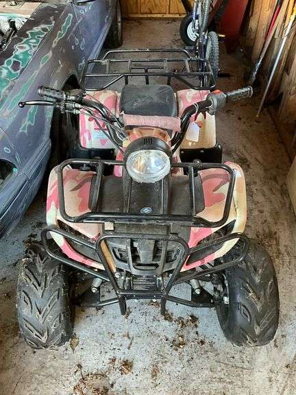 2014 Taotao Pink camo ATV model ATA110-D 107cc - Hurley Real Estate ...