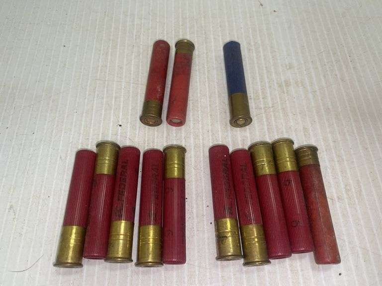 13 Mixed .410 2-3/4" shells - 12 shot and 1 slug - Hurley Real Estate ...