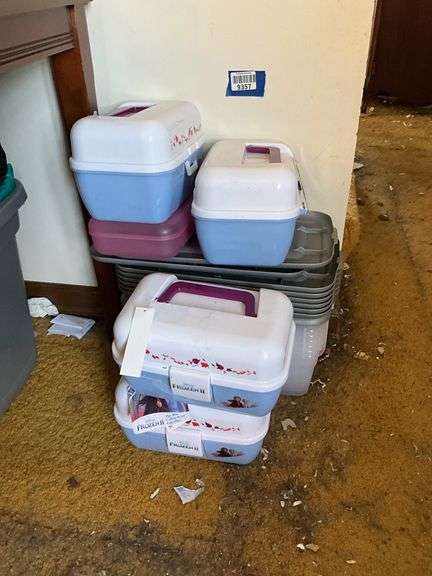 Disney Frozen II plastic play boxes, and plastic storage totes - Hurley ...