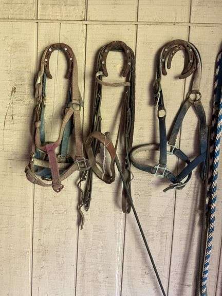 Halters/lead ropes - Hurley Real Estate & Auctions
