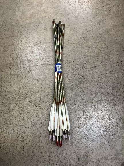 Thirteen Aluminum Easton XX75 Arrows - Hurley Real Estate & Auctions