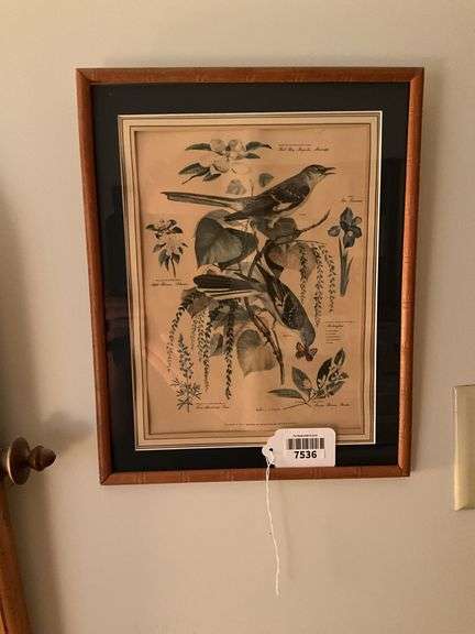 Wall hangings: two Arthur Singer bird prints, framed - Hurley Real ...