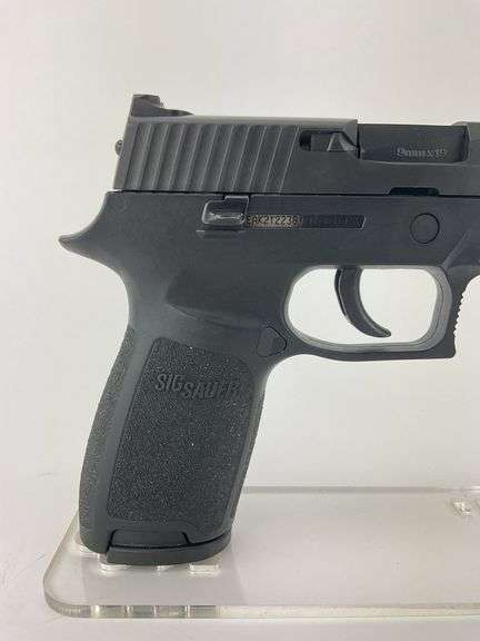 Sig Sauer P250 - Hurley Real Estate & Auctions