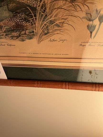 Wall hangings: two Arthur Singer bird prints, framed - Hurley Real ...