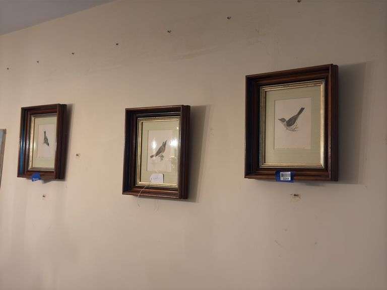 Three deep Victorian frames w/ bird prints 12x14 - Hurley Real Estate ...