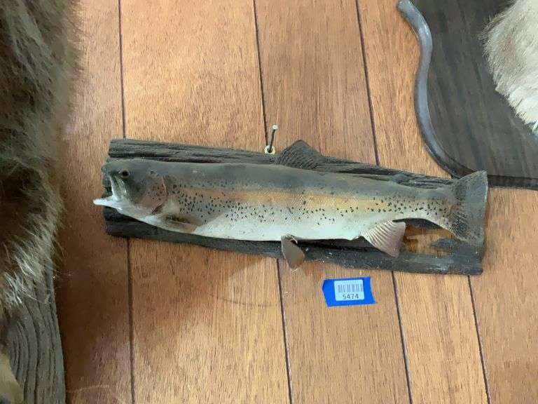 Mounted fish plaque - Hurley Real Estate & Auctions