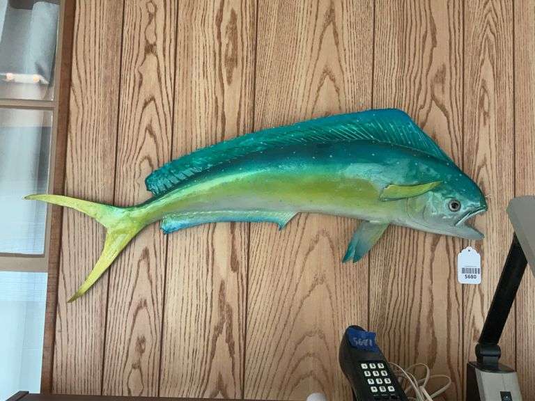 Mounted fish plaque - Hurley Real Estate & Auctions