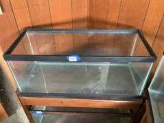 Aquarium - stand not included 30x12.5x13 - Hurley Real Estate & Auctions