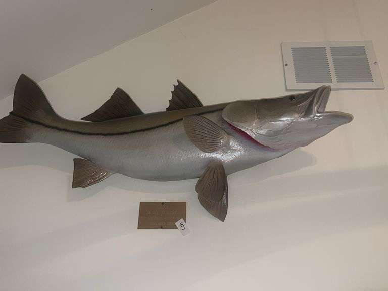 Fish Mount - Innovative Revenue Solutions