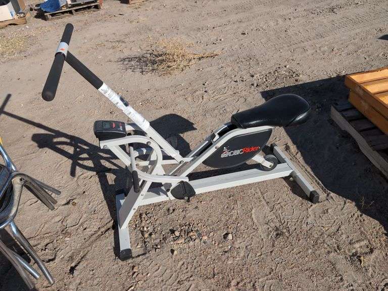 (OUT) AEROBIC RIDER EXERCISER - Isabell Auction