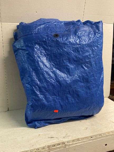 BLUE TARP - Isabell Auction